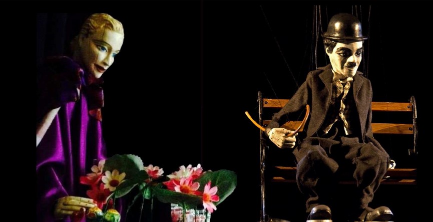 Circus | Acerca Cultura