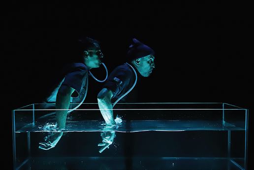 Nautilus | Acerca Cultura