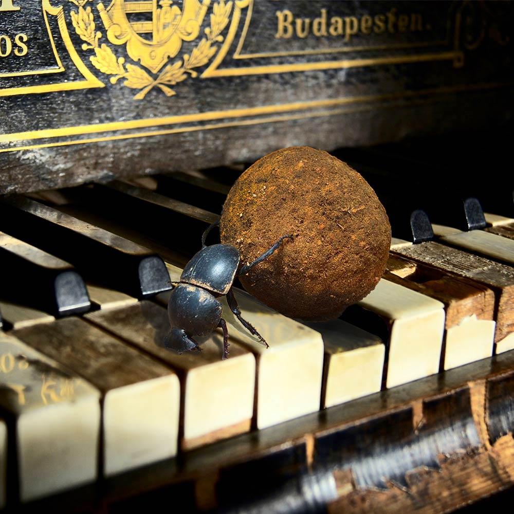 Sísif fa no fa | Close to Cultura