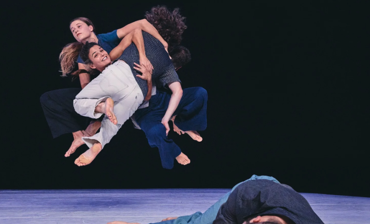 Faula | Acerca Cultura